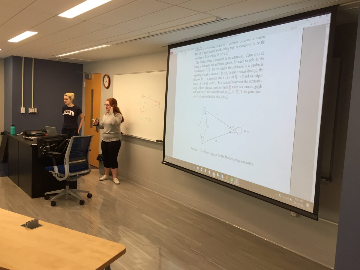 Report on 2017 Math UConn REU program | Math REU