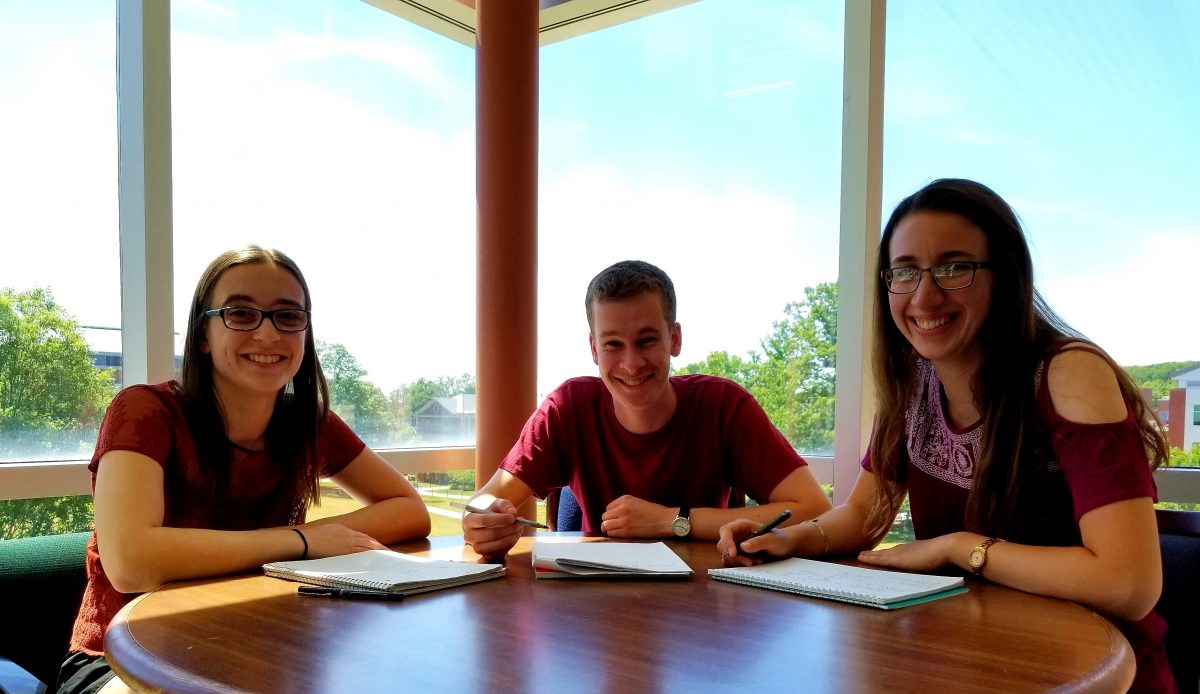 Geodesic Interpolation On The Sierpinski Gasket Math Reu 
